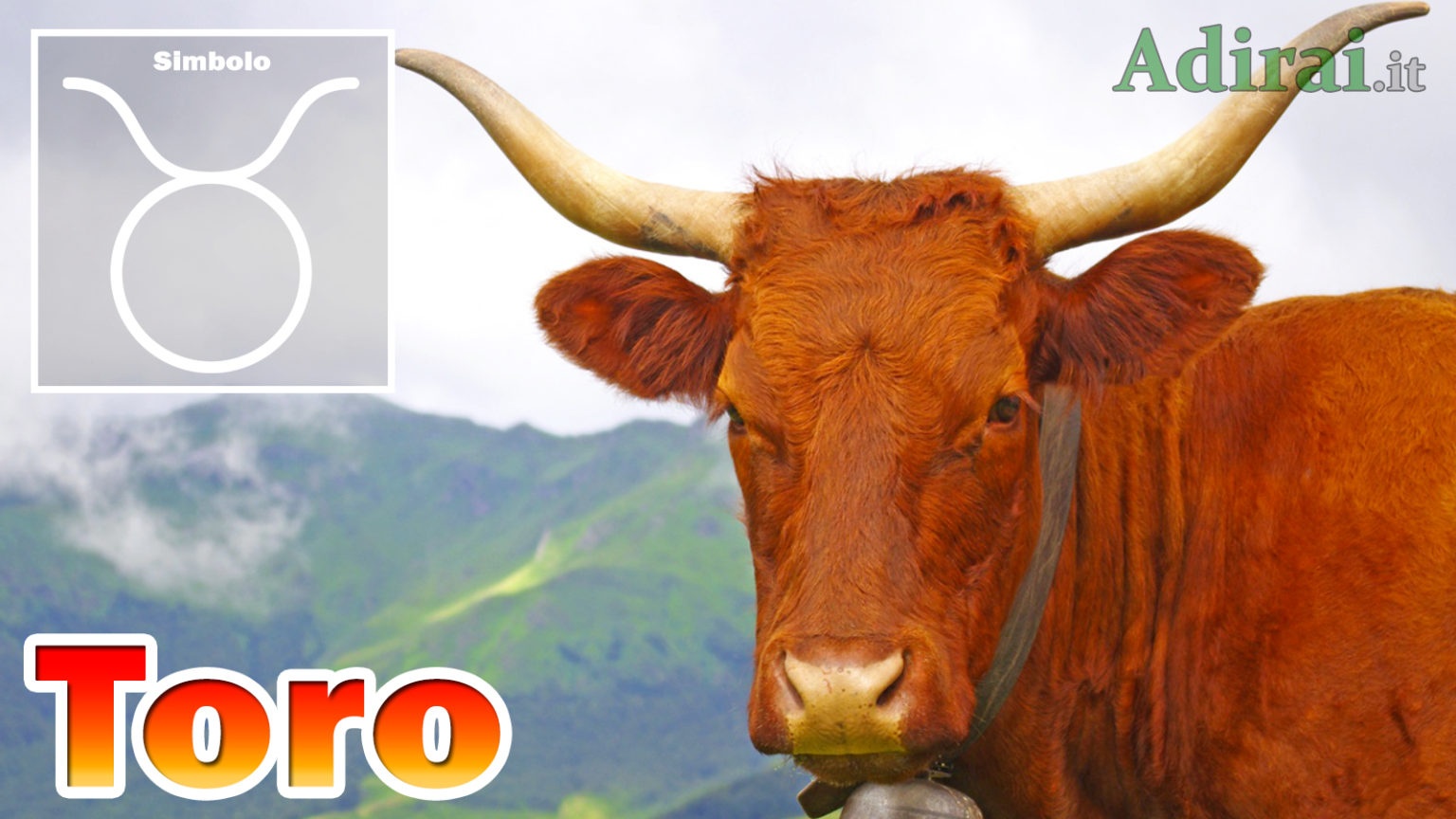 Segni zodiacali: caratteristiche e periodo dei segni dello Zodiaco