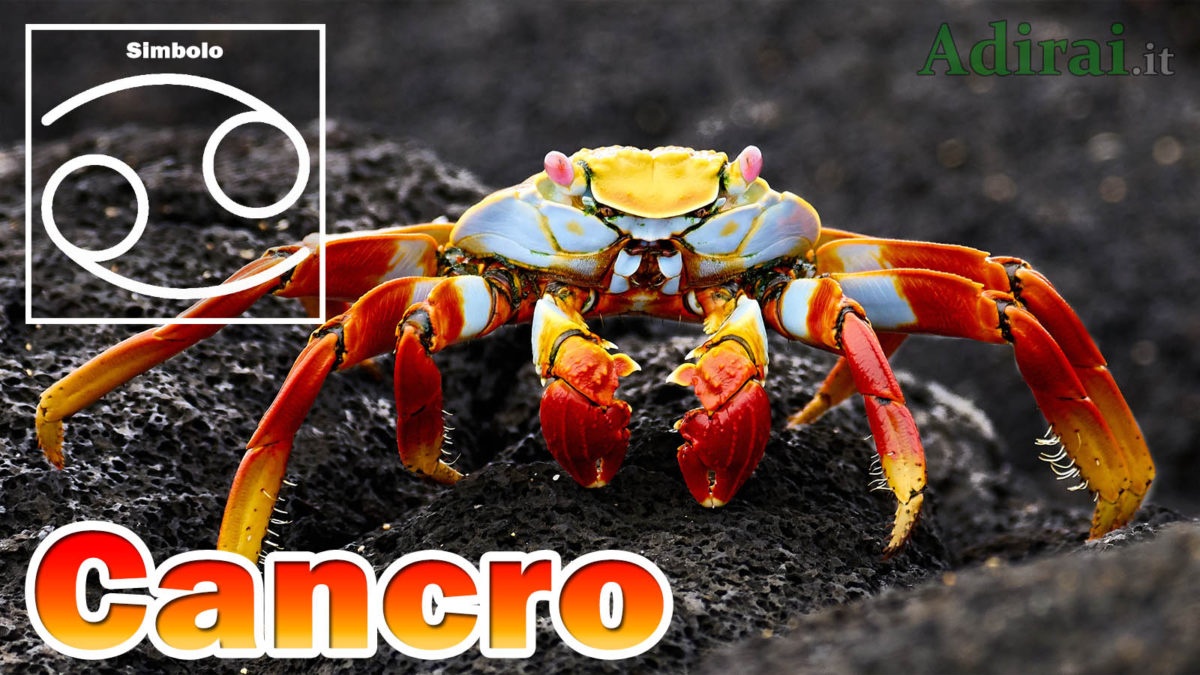 Cancro segno zodiacale caratteristiche amore, periodo, lavoro